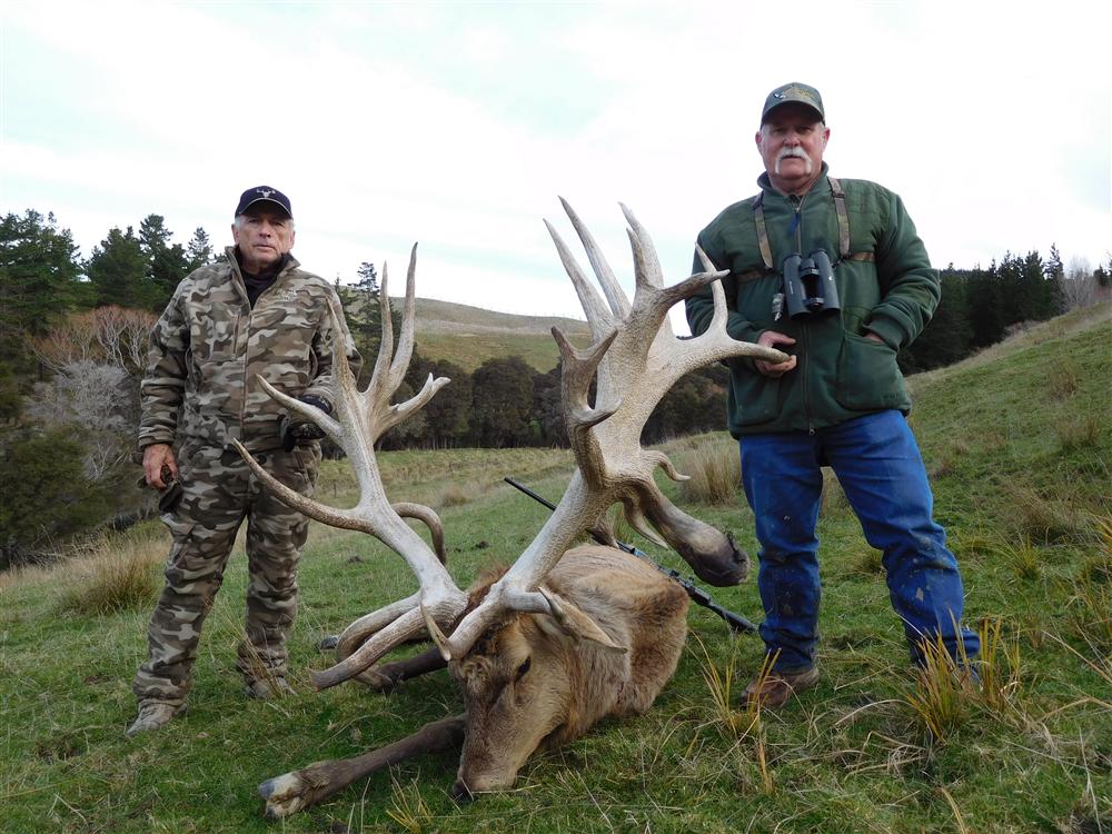 World Record Spider Bull Elk
